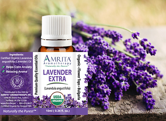 This Or That Lavender Versus Lavandin Amrita Aromatherapy Amrita